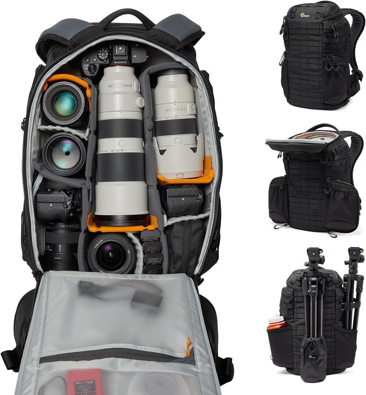 Test Lowepro ProTactic BP 450 AW III : sac photo polyvalent et ...